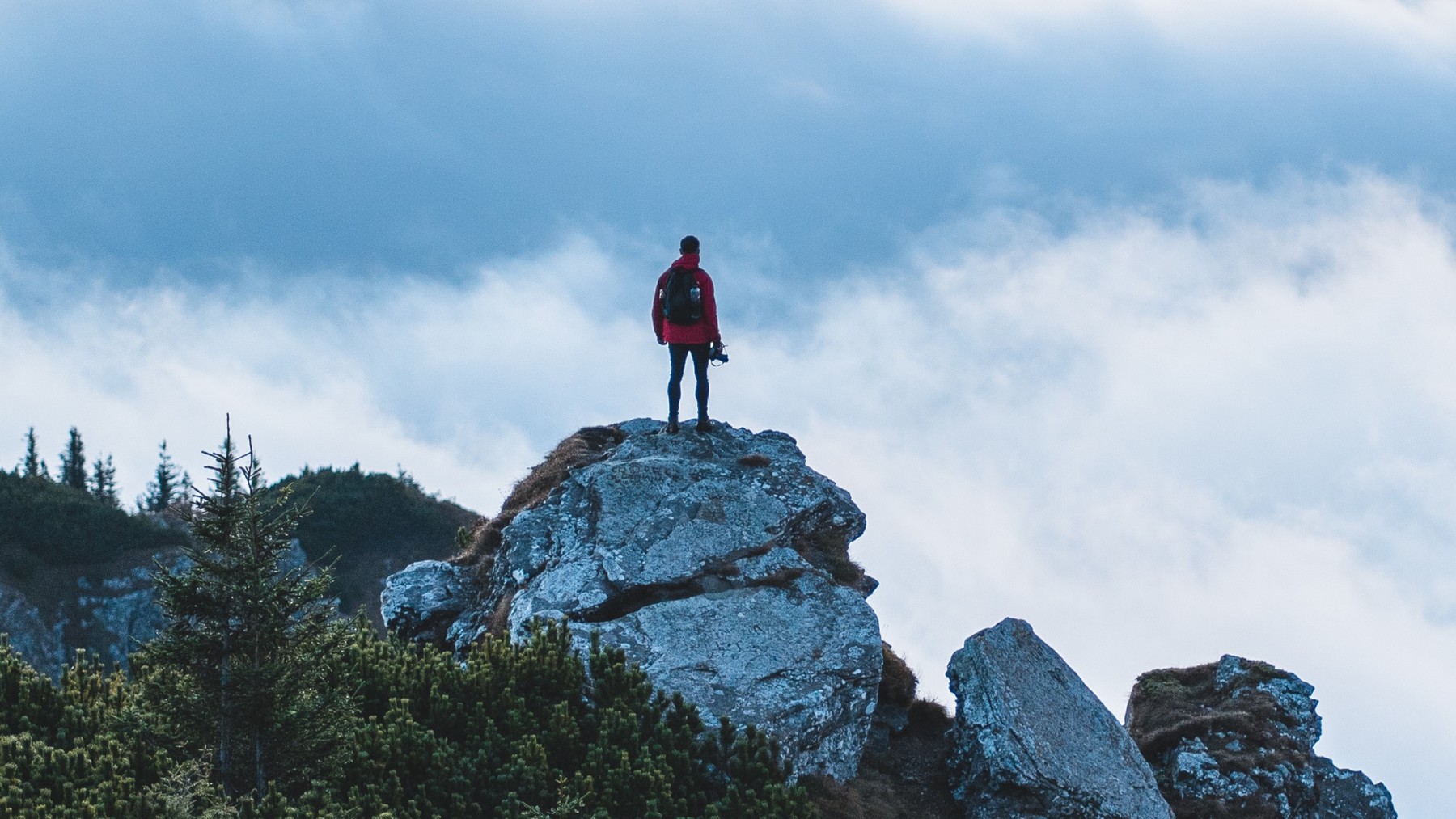 Resources | DBR & CO