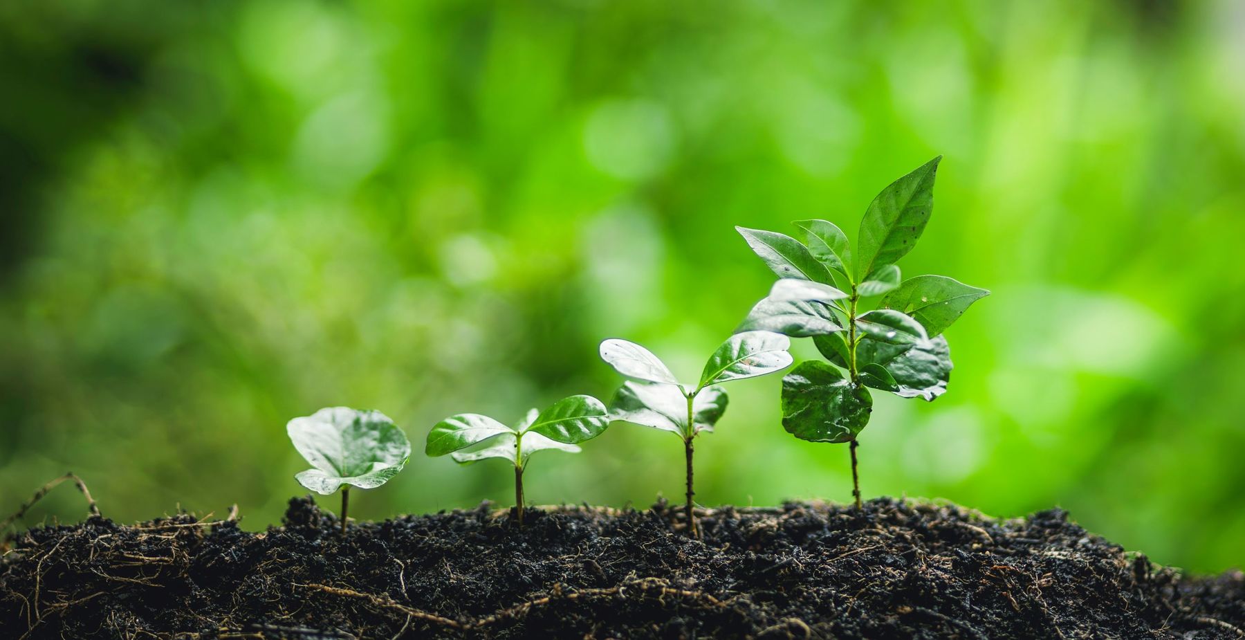 Resources | DBR & CO